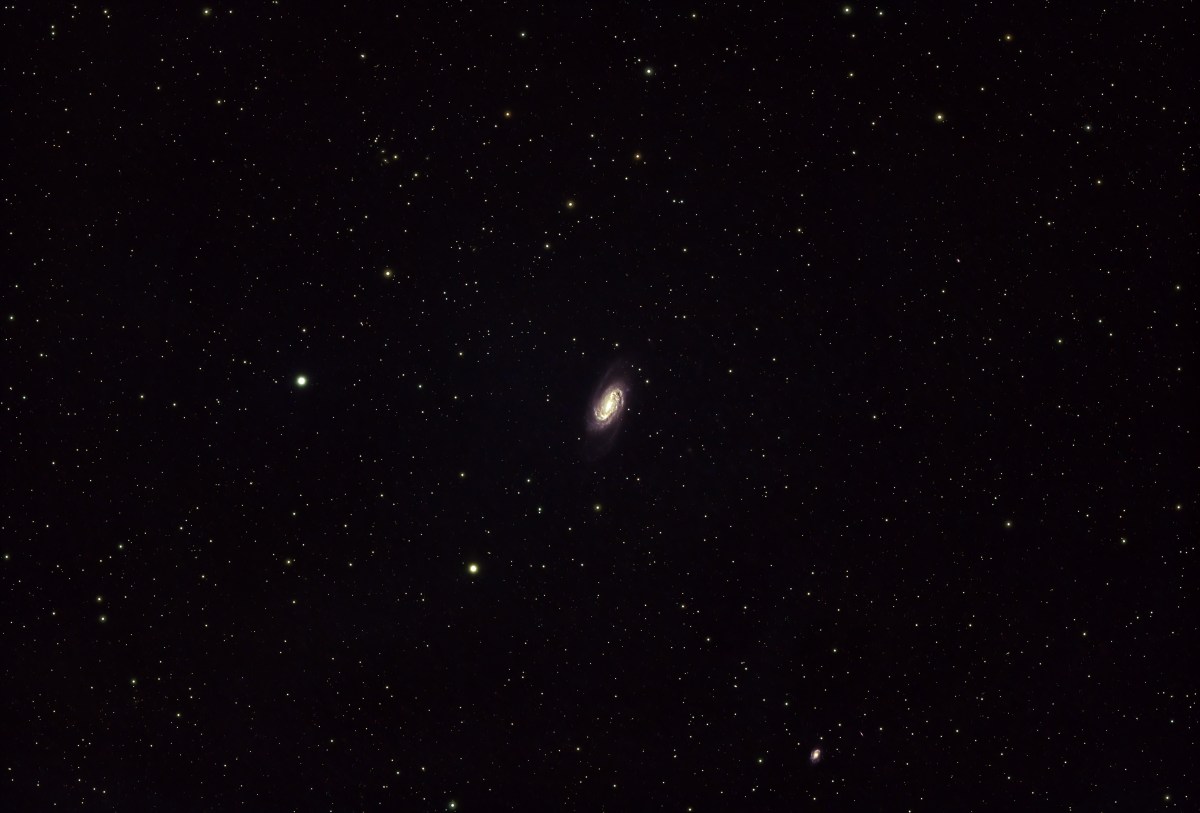 NGC 2903: A Captivating Barred Spiral Galaxy – Nicks Astrophotography
