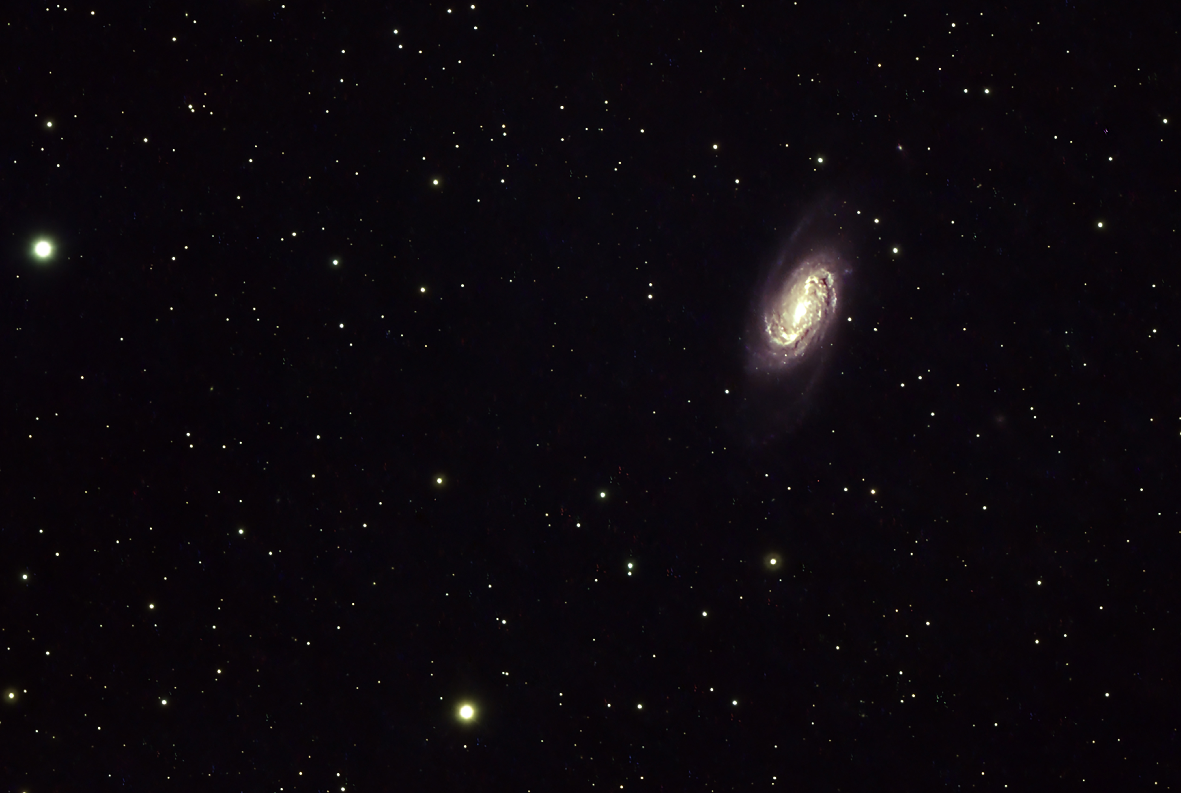 NGC 2903: A Captivating Barred Spiral Galaxy – Nicks Astrophotography